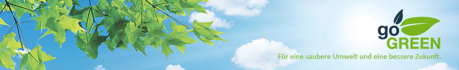 IGSWINDOWS | goGREEN